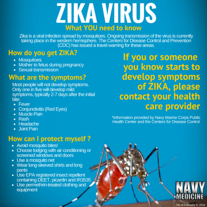 Americans don't get it - How many of these Zika facts did YOU have ... Americans don't get it - How many of these Zika facts did YOU have ...