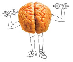 Brawn, the Brain-Booster - Health & Wellness - News - Catholic Online