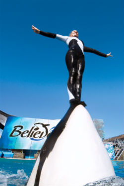 SeaWorld to add New Killer Whale Show to Replace 'Believe' - U.S. News ...