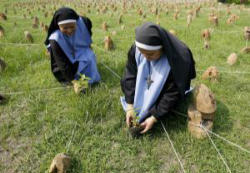 Catholic Way of Being Green: Pope Benedict XVI Calls for a Human ...