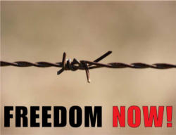 The Struggle of the Age is Between Anarchic Freedom and Authentic ...