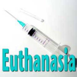 Pressured to Die: Euthanasia Push Continues - Europe - International ...
