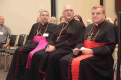 Cardinal Burke Speaks on Suffering, Care of the Disabled and Dying in ...