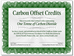 EXCLUSIVE: Exposing the carbon credit scam - Africa - International ...