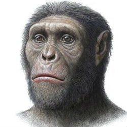 Rock with skeleton of prehistoric man discovered - Green - News ...