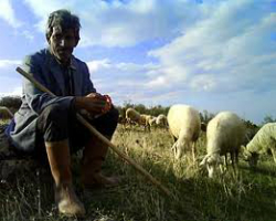 The Happy Priest on the Call to 'Shepherd My People' - Living Faith ...