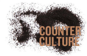 Faithful Catholics are a New Counter Culture Offering a Way Forward to ...