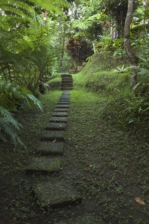 Finding the Path to Peace Through Forgiveness - Living Faith - Home ...