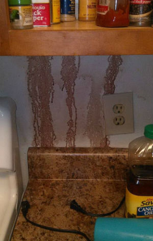 Blood oozing walls: Shocked Oklahoma man finds blood dripping down the ...