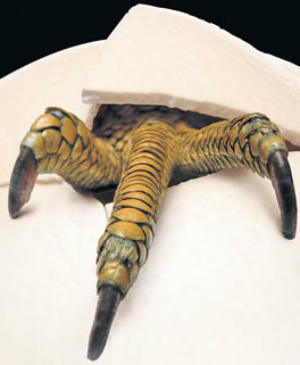 'Chickensaurus' is halfway here: Paleontologists creating dino-hybrids ...