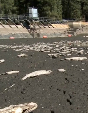 Why did this California lake mysteriously run dry overnight? - U.S ...