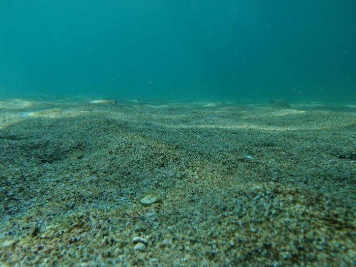 Unbelievable map of Earth without oceans shocks experts - Green - News ...